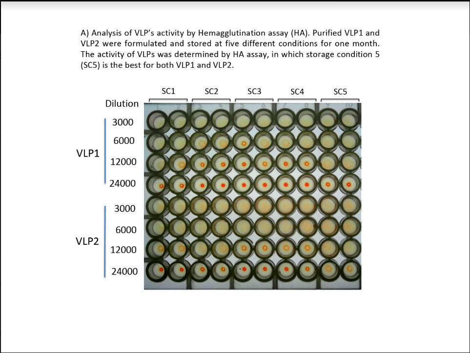 Hemagglutination assay (HA) to analyze VLP’s activity | AscentGene